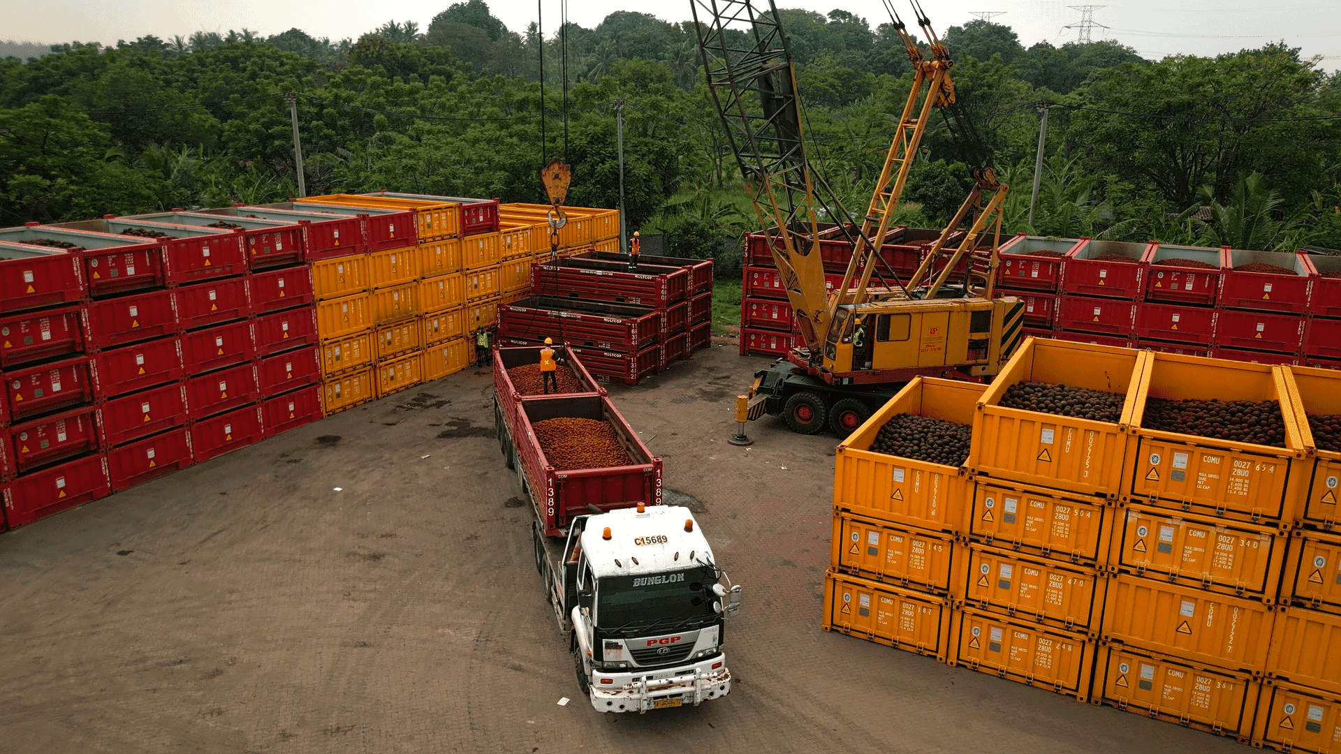 Molycop Multimedia Gallery | Molycop